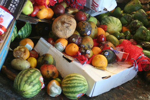 In Our Surplus Food Economy, Millions Can’t Afford to Buy Good Food ...