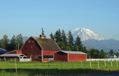 Can Western Washington Feed Itself? « Good Food World